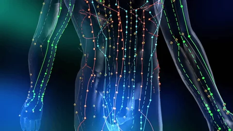 MERIDIANELE ȘI MEDICINA TRADIȚIONALĂ CHINEZĂ - Yoga Devi